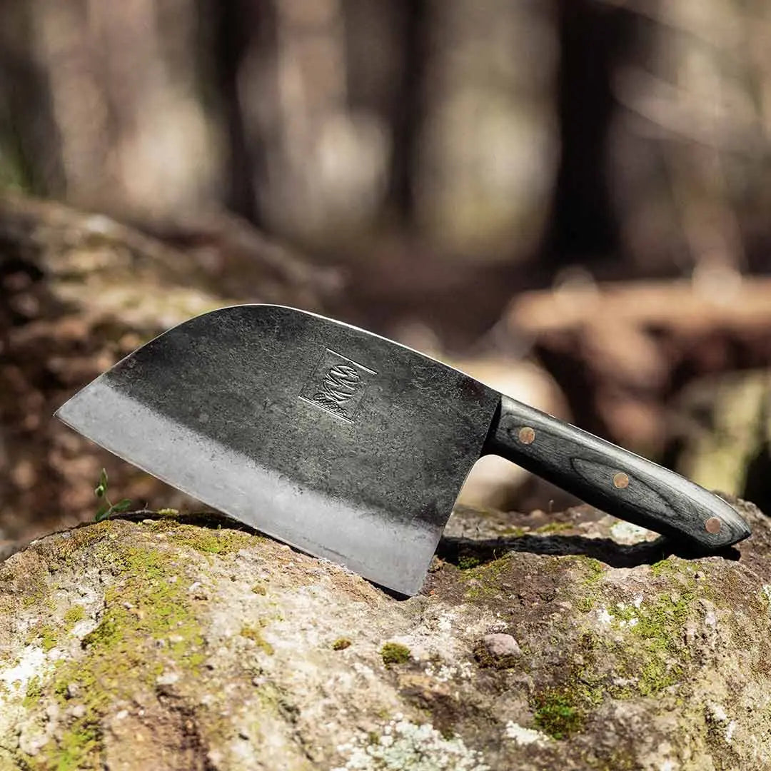 Special Offer | Coolina